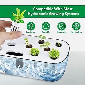 162 pcs Seed Pod Kit for Aerogarden, Grow Anything Kit for Hydroponics, Hydroponics Supplies with 40 Grow Sponges, 40 Grow Baskets, 40 Pod Labels, 40 Grow Domes, 1 A&B