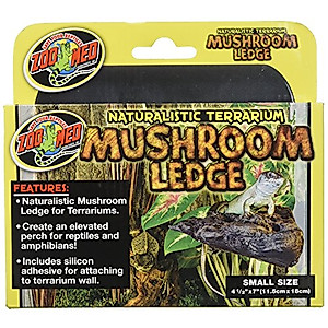Naturalistic Terrarium Mushroom Ledge