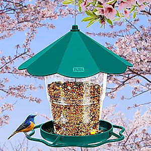 Hanizi Wild Bird Feeders for Outside, Hanging Bird Feeder Squirrel Proof, Outdoor Birds Feeders Wild Bird Seed, Garden Yard Decoration (Green)