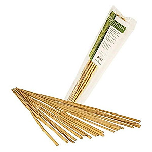 Hydrofarm HGBB4 4' Natural, pack of 25 Bamboo Stake, Tan