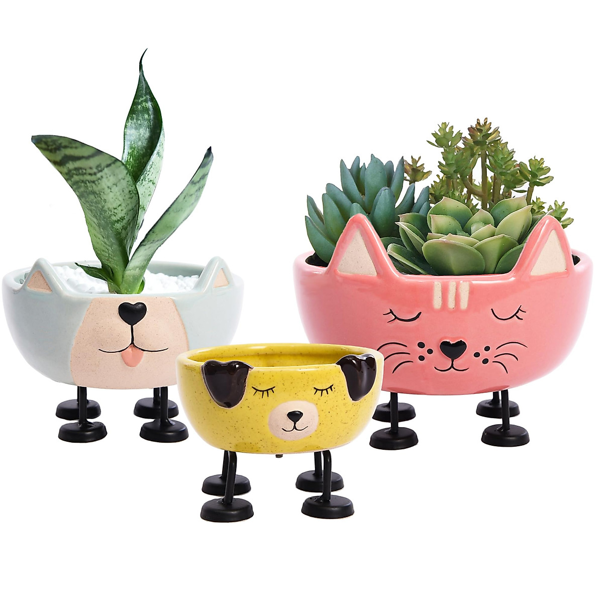 Pointnio Cute Plant Pots,Ceramic Garden Pots,Plant Gifts for Woman,Planters for Indoor Plants.Small Pots for Plant.Spring Flower Pots.Spider,Succulent Pots 6"+4.8"+4" Set of 3