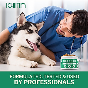 LOLLITIN Flea & Tick Dog Supplement - Made in USA - All Natural - Dog Chews 120 Count - Bacon Flavor - Dog Supplements - Natural Repellent