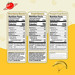 Earth's Best Organic Kids Snacks, Sesame Street Toddler Snacks, Organic Fruit Yogurt Smoothie for Toddlers 2 Years and Older, Banana Smoothie Variety Pack, 4.2 oz Resealable Pouch (Pack of 18)