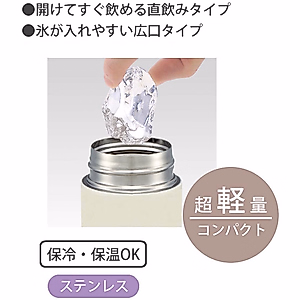 Skater SMBC4B-A Stainless Steel Mug Bottle, Pokemon Genger, 11.8 fl oz (350 ml), Water Bottle