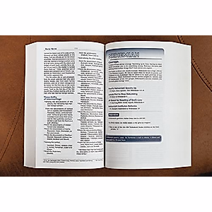 NIV, Teen Study Bible (For Life Issues You Face Every Day), Paperback, Comfort Print