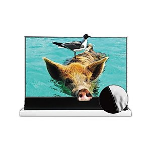 VIVIDSTORM-Projection Screen S PRO 100 inch Motor Rollable Laser TV Tensioned Floor Screen Ambient Light Rejecting Suit for 4k HD Office Movie Cinema Ultra-Short Throw Laser projecror,VWSDSTUST100H