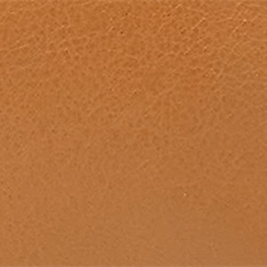 Fossil Women's Carlie Leather Satchel Purse Handbag