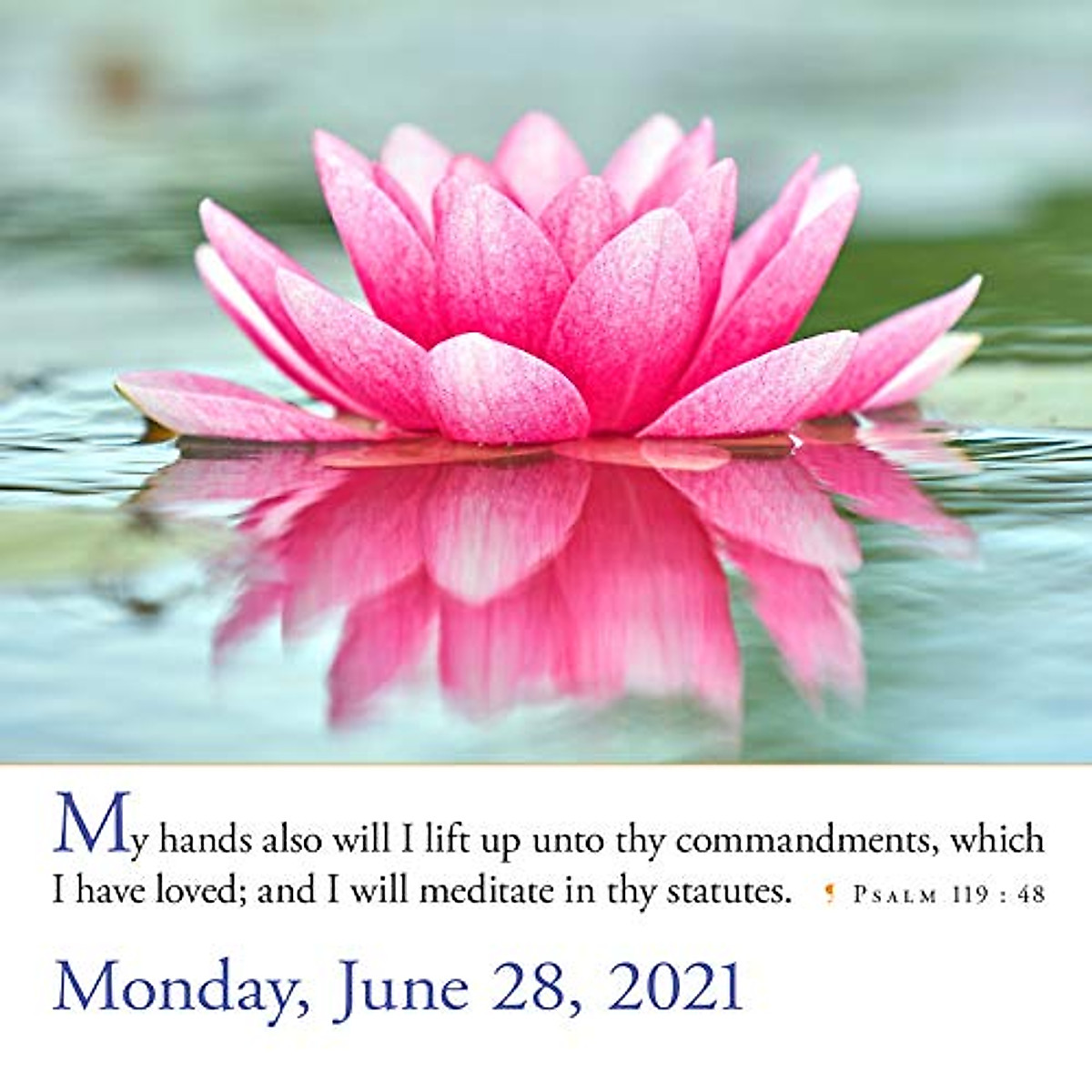 365 Bible Verses-A-Year Page-A-Day Calendar 2021