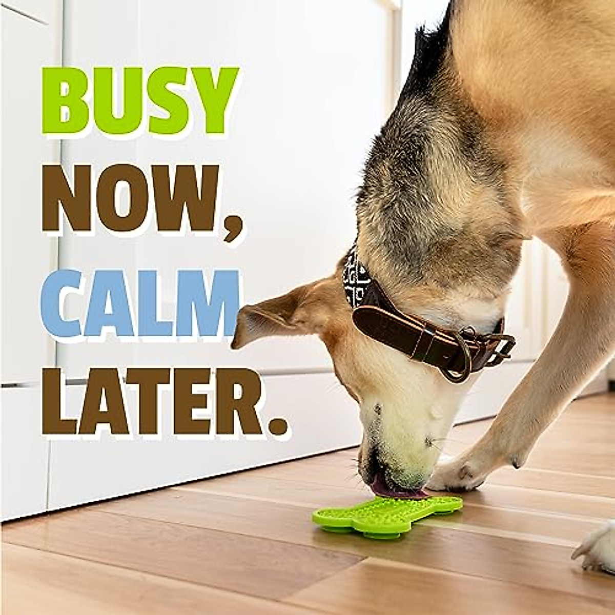 Pet Naturals Calm and Busy Pack with 6 Pouches of BusyButter Calming Peanut Butter and Premium Lick Mat with Suction Cups