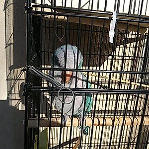 10 Pack Rabbit Cages Door Metal Finger Spring Latch Hook Multi-Functional Pet Cages Door Spring Latch for Fixing Small Animal, Rabbit, Dog, Cat, Parrot, Guinea Pig,Squirrel, Pet Cage Door