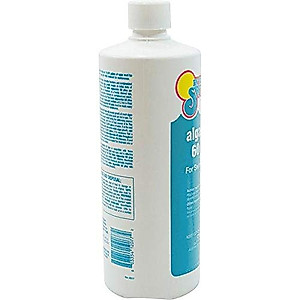 In The Swim Swimming Pool Algaecide 60 Plus - 1 Quart