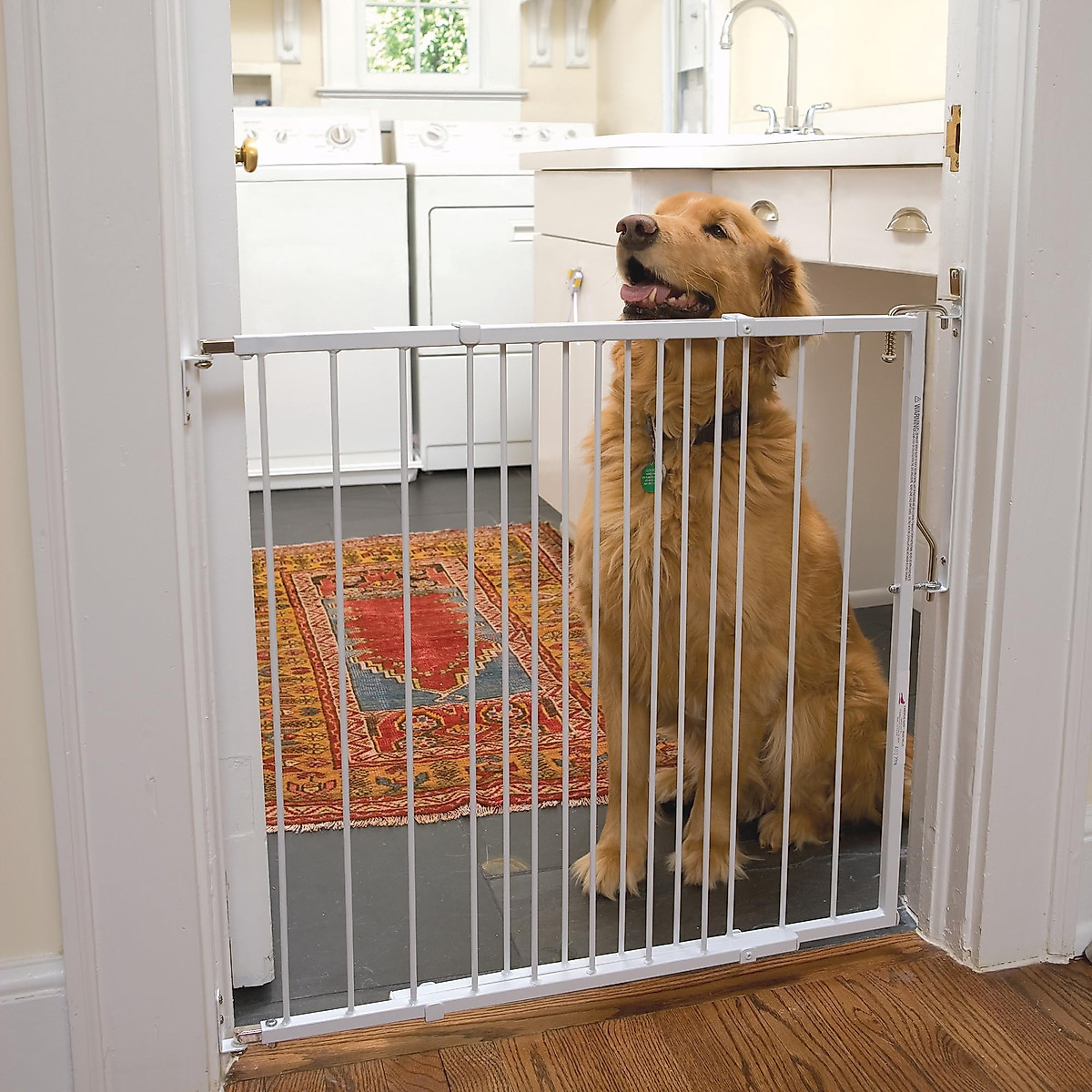 Cardinal Gates MG25 Duragate Baby Gate - Adjustable Dog Gate - Steel Safety Gate for Kids & Pets - 26.5 to 41.5 Inches Wide - White