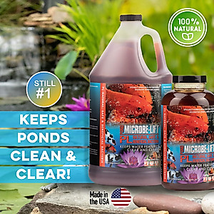 MICROBE-LIFT PL Pond Bacteria and Outdoor Water Garden Cleaner, Safe for Live Koi Fish, Plant Life, and Decor, 1 Gallon