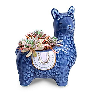Dahlia Cute Llama Ceramic Succulent Planter/Plant Pot/Flower Pot/Bonsai Pot, Blue