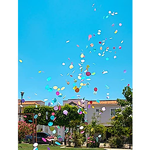 La Sol Imports Round Pastel Tissue Confetti Circle Dots Rainbow Confetti for Party Table Wedding Celebrations Multicolor Biodegradable Paper Tissue 1 inch Circles 1.4 Oz 1.4 Ounce Pack of 1