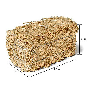 FloraCraft 12 Piece Decorative Straw Bale 1 Inch x 1.25 Inch x 2.5 Inch Natural