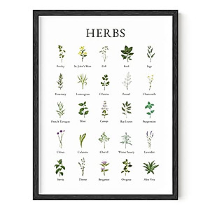 HAUS AND HUES Herb Pictures for Kitchen Wall Art - Kitchen Herbs Wall Art and Botanical Prints Herbs Art, Kitchen Wall Art Herbs and Kitchen Art, Cottage Core Decor (Black Framed, 12x16)