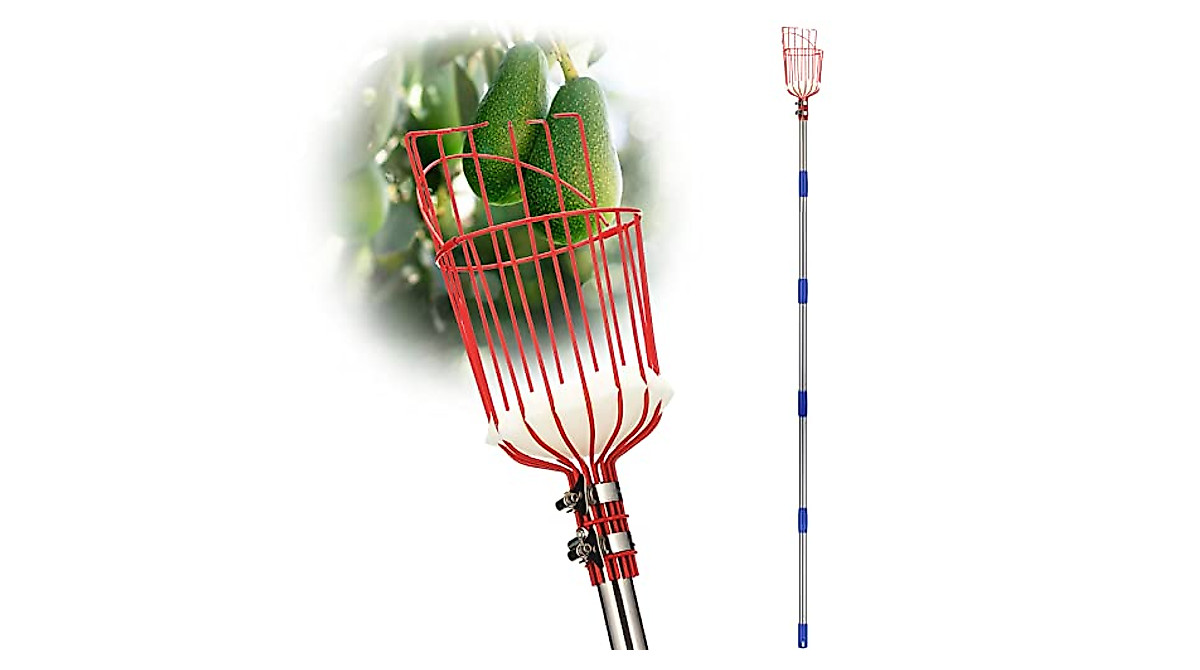 DonSail Telescoping Fruit Picker Pole with Basket for Easy Harvesting