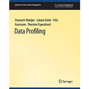 Data Profiling (Synthesis Lectures on Data Management)
