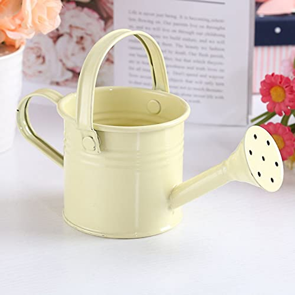 SMLJFO Watering Can for Indoor Outdoor Plants, Modern Style Watering Pot with Handle Sprinkler Head Iron House Garden Flower Long Spout Shower Pink 5.1in