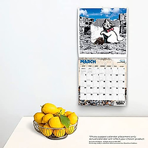 Banksy's Graffiti | 2023 12 x 24 Inch Monthly Square Wall Calendar | BrownTrout | Drawings Street Art Design