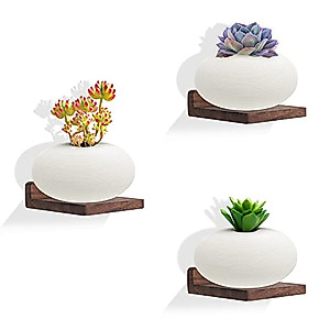 NIUBEST Small Floating Shelf,5x5 Inch Dark Walnut,Set of 3 Small Wall Shelves for Bedroom Living Room Bathroom Kitchen Decor