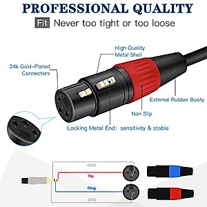 JOLGOO Dual XLR Female to 3.5 mm TRS Stereo Microphone Cable, 2 XLR Female to 1/8 inch TRS Stereo Y Splitter Patch Cable, 10 Feet