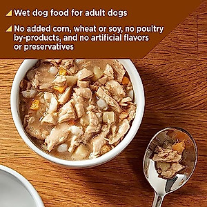 Nature's Recipe Wet Dog Food, Chicken & Turkey in Broth Recipe, 2.75 Ounce Cup (Pack of 12)
