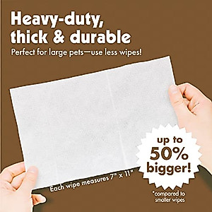 Petkin Pet Wipes for Dogs and Cats, 200 Wipes (Large) – Oatmeal Pet Wipes for Dogs and Cats – Soothes Itchy Dry Skin and Cleans Ears, Face, Butt, Body and Eye Area – 2 Packs of 100 Wipes