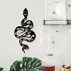Takefuns Cat/Snake Shape Crystal Display Shelf, Wooden Floating Shelves, Wall-Mounted Crystals Stones Display Shelf, for Living Room Home Office Decoration (Coiled Snake)