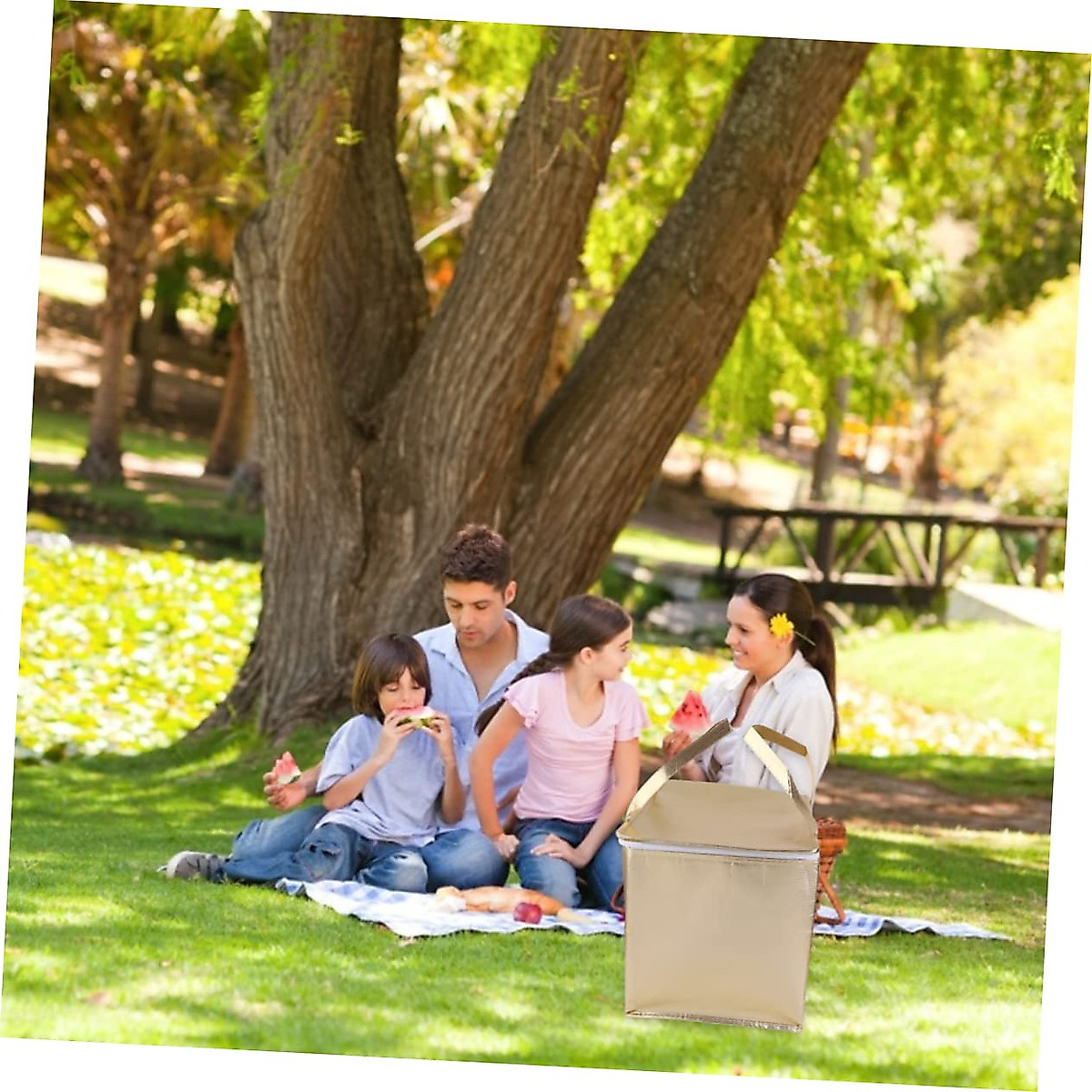 TIDTALEO 1Pc insulated portable Insulation bags Cake Cooler Bag ice bag grocery tote bag zip tote bag non-woven fabric lamination cake printable