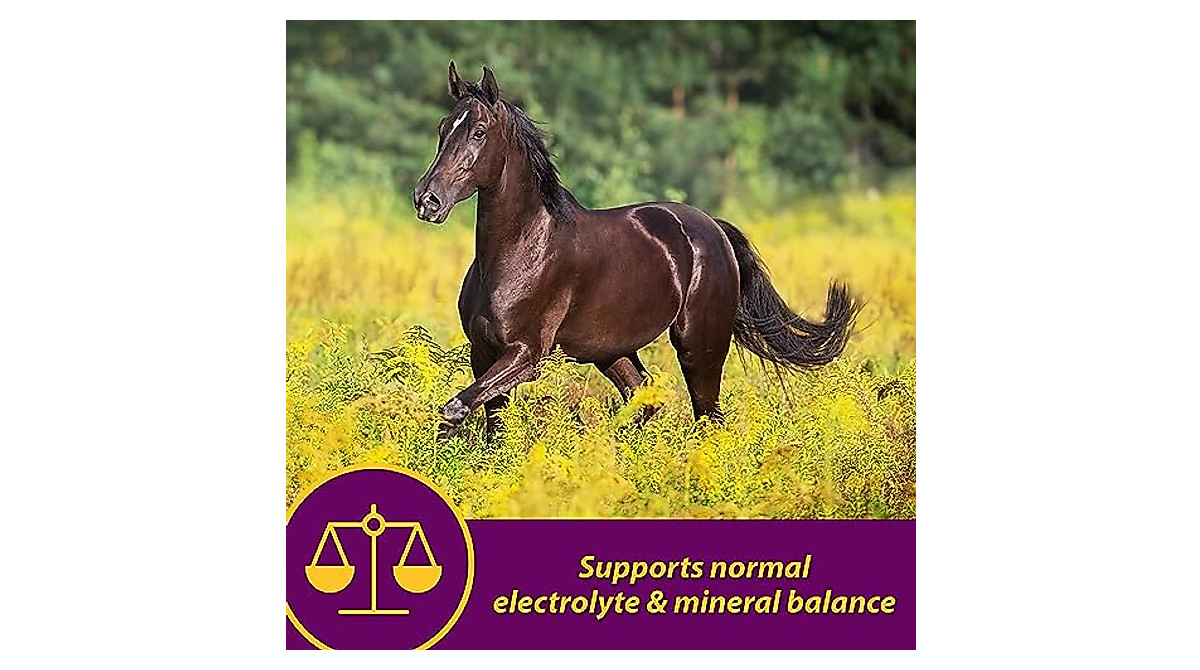 Horse Health Apple-Dex Electrolytes for Horses 5 lb