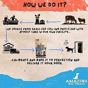 Bully Sticks 6 Inch Regular Size (25 Pcs/Pack) - Premium Bully Stick Dog Chews - Long Lasting Bully Sticks for Dogs - Best Bully Stick Dog Bone - No Hide Dog Chew