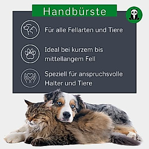 Alcott Bamboo Groom Palm Brush with Boar Bristles for Pets