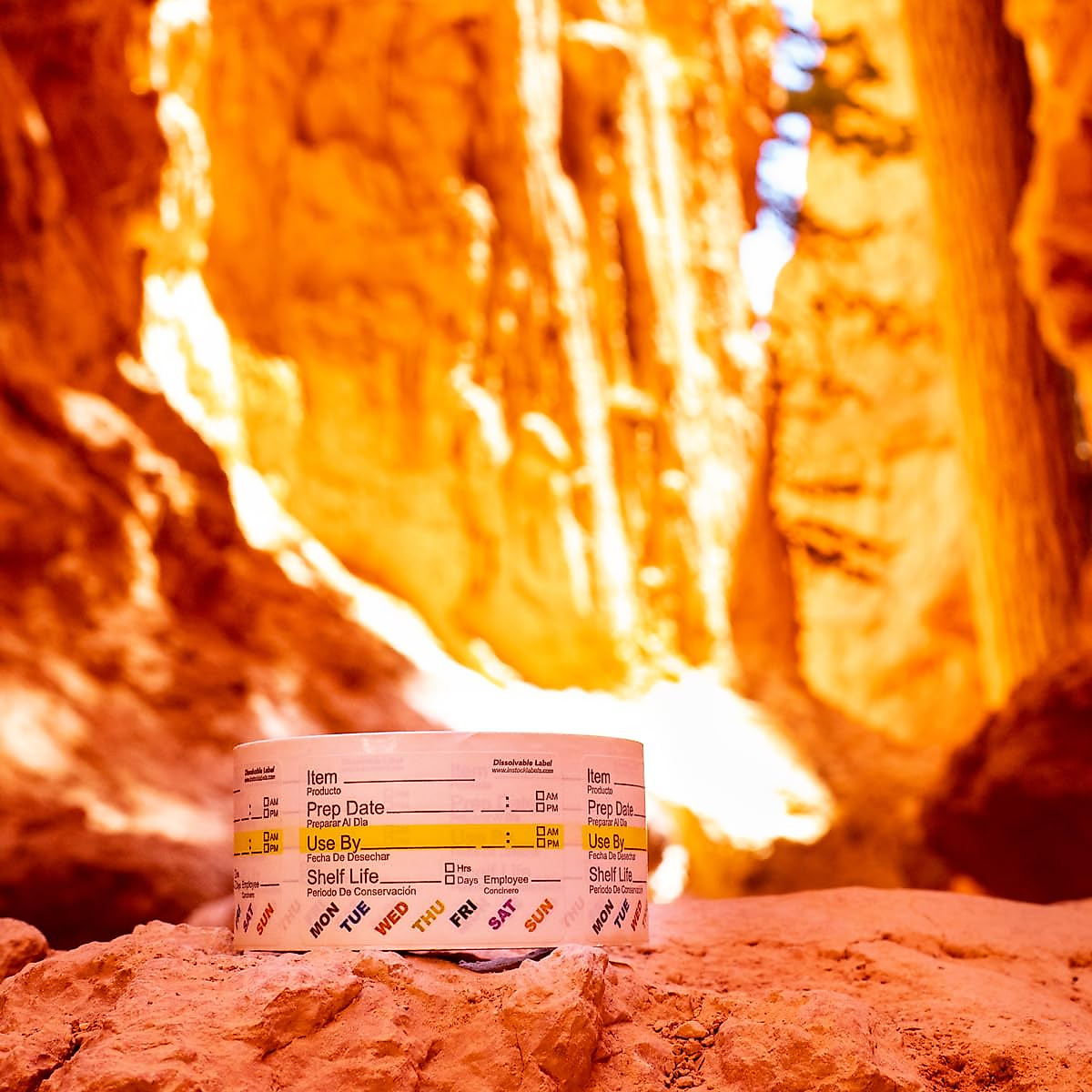 Dissolvable Food Rotation Labels, 2” x 3” Adhesive Stickers, 500-Pack