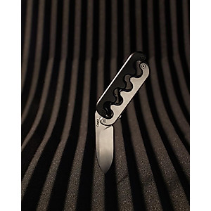 Craighill Sidewinder Knife - Compact Folding Pocket Knife for Everyday Use, 2.5" 12C27 Steel Blade, Sculptural Design, Collector's Knife, 5.6 oz