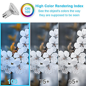 Lacnooe PAR20 Bulbs, 2 Pack 120V 50W PAR20 Flood Light Bulbs, Long Lifespan High Output Reflector Flood Lights, E26 Medium Base, Dmimable, Warm White