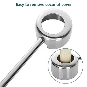 FengWu Coconut Opener Tool Set Food Grade Stainless Steel Coconut Opener Kit for Young Coconut Coco Jack Opener Kit with Stainless Steel Scraper, Coconut Hole Maker Puncher, Rubber Hammer (4pcs)