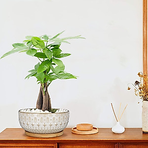 Fivepot 10+8 Inch Ceramic Succulent Planter Pots with Drainage Hole Clay Flower Pot for Indoor Plants Round Shallow Bonsai Pot with Bamboo Tray White