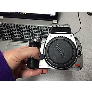 Canon Rebel XT DSLR Camera (Body Only - Silver) (Discontinued by Manufacturer)