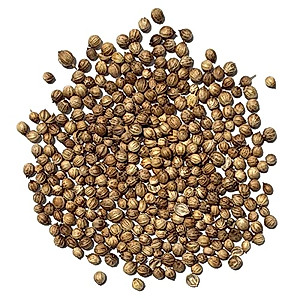 The Old Farmer's Almanac Heirloom Organic Cilantro Seeds (Slow Bolt) - Approx 180 Seeds - Certified Organic, Non-GMO, Open Pollinated, Heirloom, USA Origin