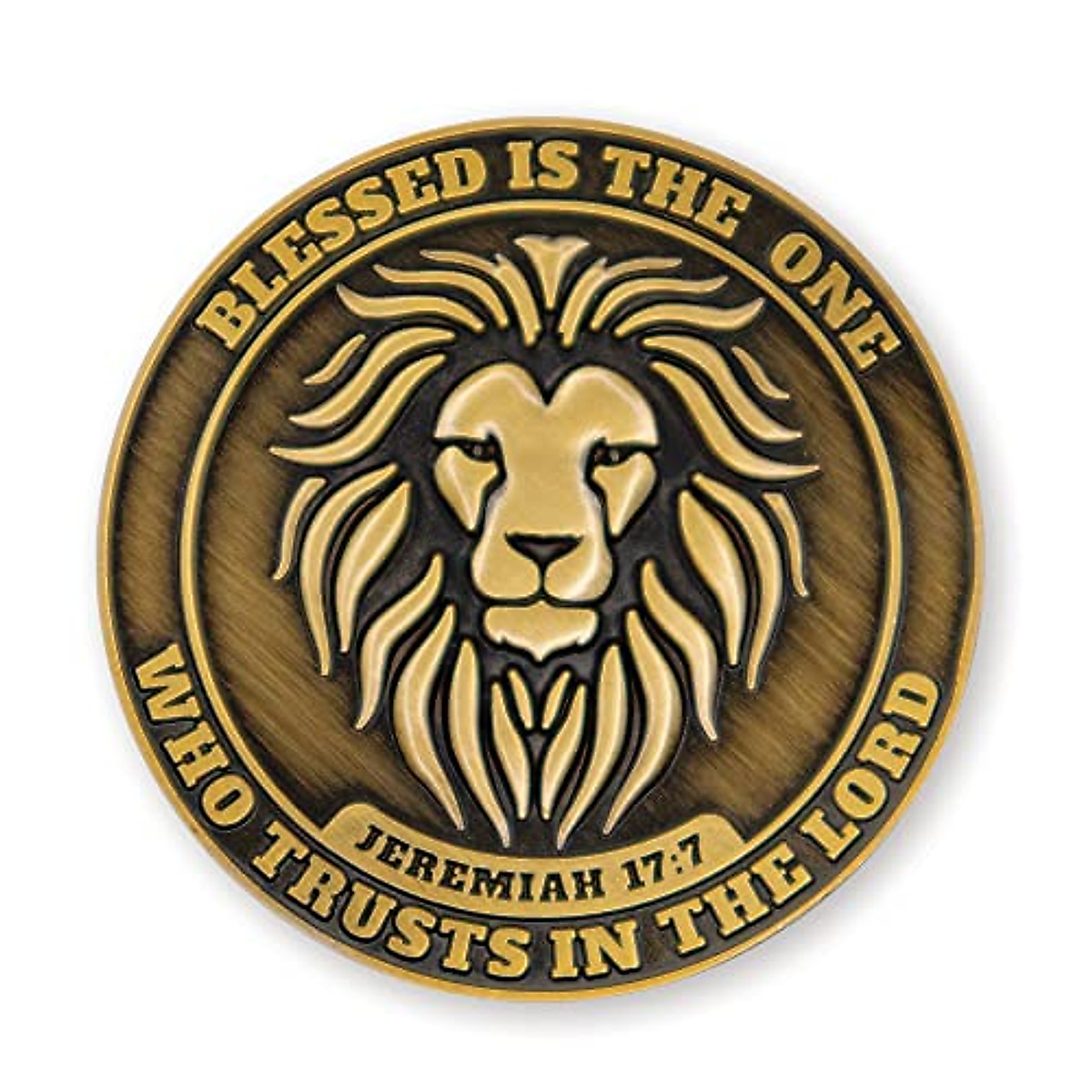 Trust in The Lord Lion Challenge Coin, Bulk Pack of 10 Christian Pocket Tokens, Bible Study Supplies for Men, Bible Verse Worry Coin for Prayer, Religious EDC Coins for Police & Military Veterans