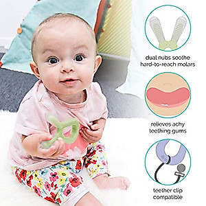 Most Recommended Molar Teether for Babies | ZoLi Bunny Baby Teething Toy, Gum Massaging Molar Gums Relief, Easy to Hold and chew, BPA, Phthalate, and Toxin Free teether, Lilac + ash Grey (Pack of 2)