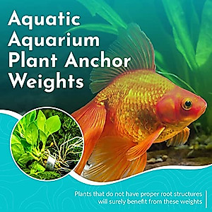 CANTON AQUATICS Anchor Lead Plant Holder Flexible Weight - Easy to Manipulate - Used for Submerge Plants in Aquariums or Ponds - 10 Piece Lead Strips - Grey