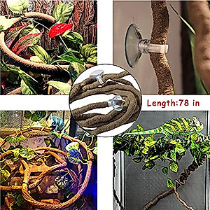 kathson 4 PCS Reptile Driftwood Habitat Decor Reptile Branches Bendable Vine Leaves Terrarium Wood Ornament Lizard Tank Accessories for Gecko, Snakes, Chameleon, Hermit Crab, Spider