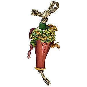 Planet Pleasures Snow Cone Bird Toy, Small