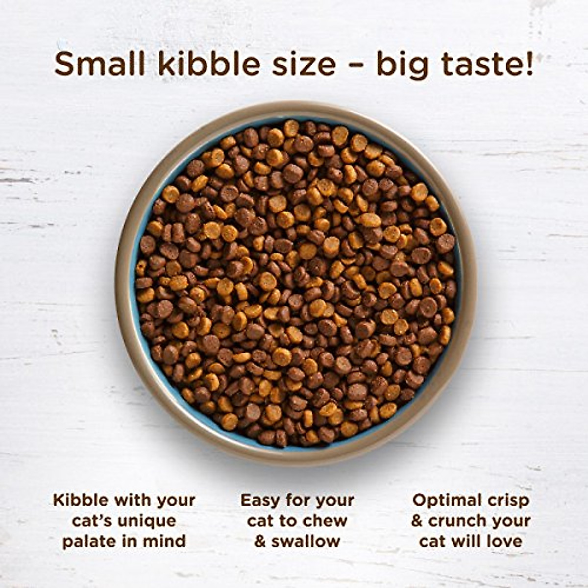 Rachael Ray Nutrish Premium Natural Dry Cat Food, Chicken & Brown Rice Recipe, 3 Pounds