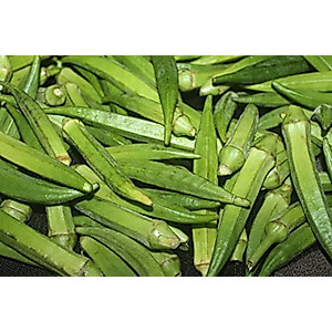 TKE Farms-Clemson Spineless Okra Seeds for Planting, 6 Grams ≈ 100 Seeds, Abelmoschus esculentus