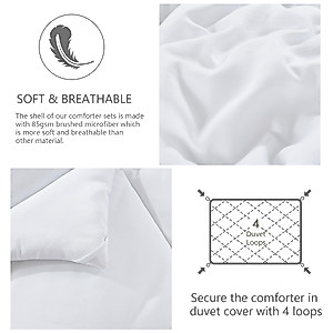NexHome Down Alternative Solid Comforter Set Queen Size, Lightweight Comforter Set Thin Microfiber Reversible Autumn Spring Winter Bedding Comforter (Queen, White)
