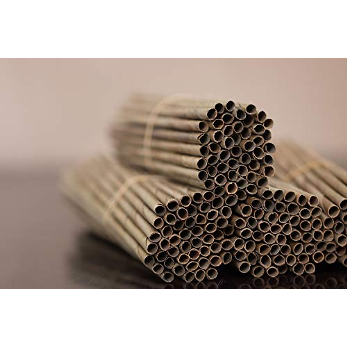 Dtocs 100 Pc. Elegant Bamboo Straw Look Coconut Leaf Disposable Straws | Long Unwrapped Biodegradable Smoothie, Cocktail, Coffee Compostable Straw Alternate to Wooden, Paper, Plastic & Reusable Straws